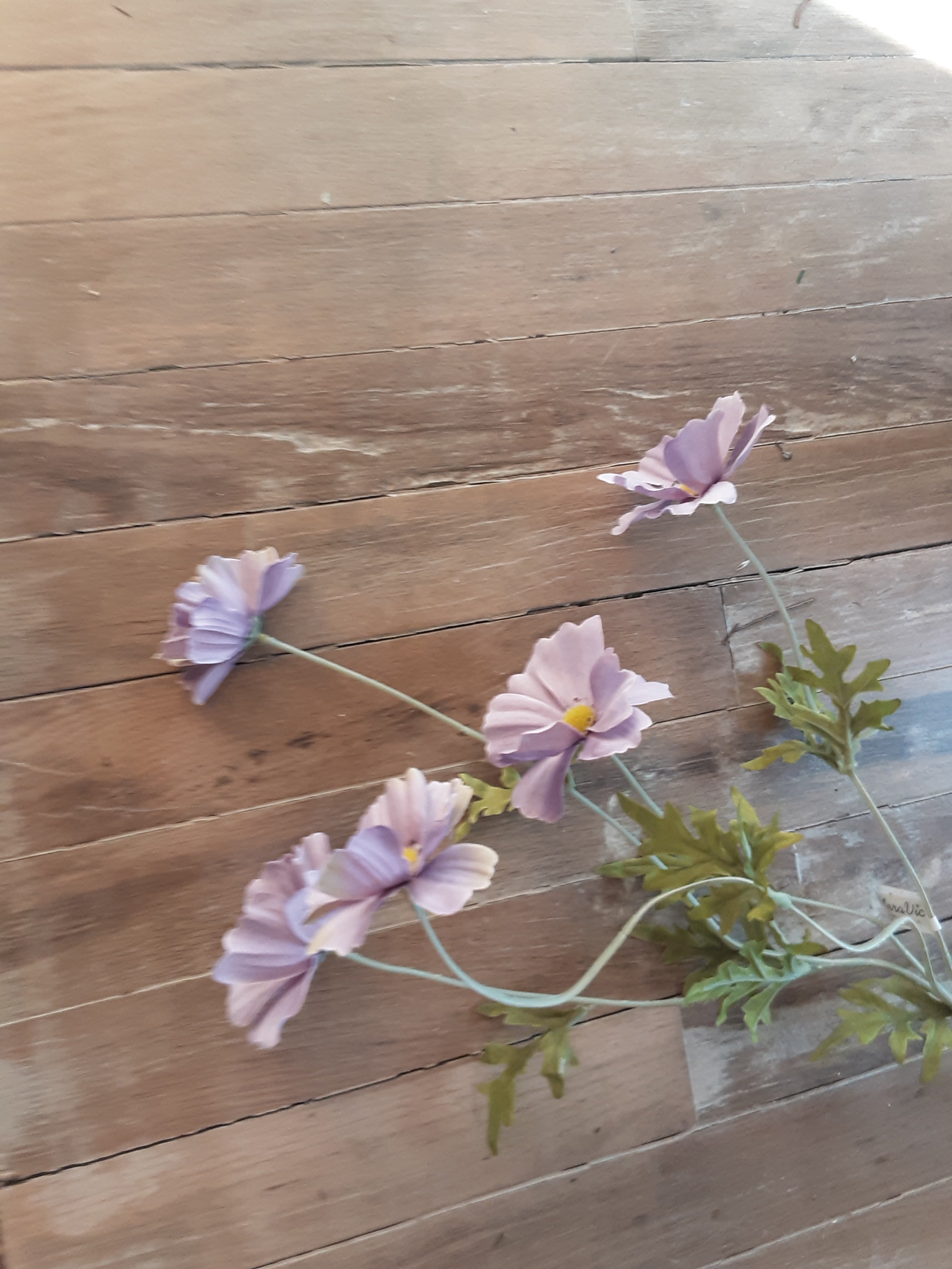 Lavender Cosmos – Back-En-Thyme