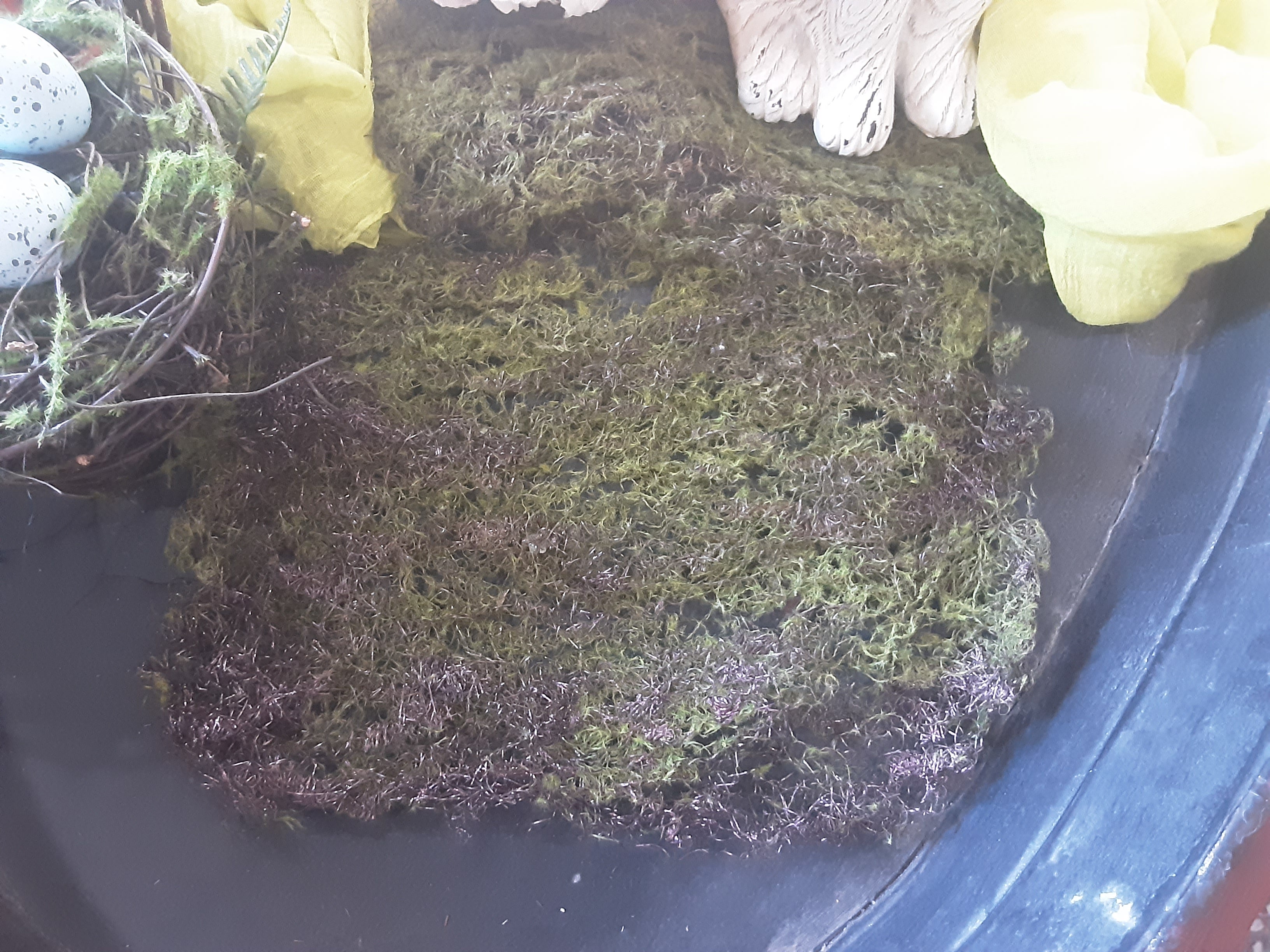 Artificial Moss Patches – Back-En-Thyme