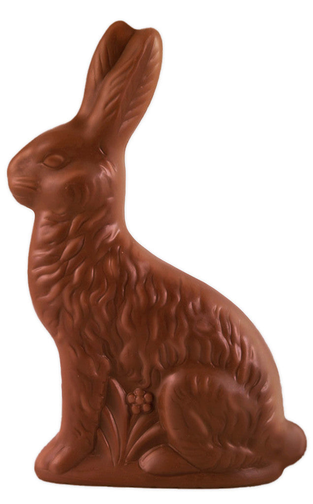 Solid Chocolate Easter Bunny - 7.5oz – Back-En-Thyme